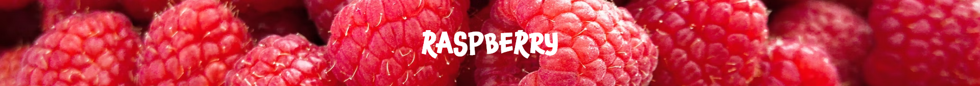 Raspberry Cookies & Brownies - Gift Baskets | Dancing Deer– Dancing ...